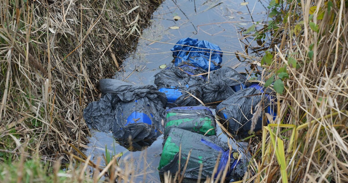 Ongediertebestrijder vindt jerrycans met onbekende vloeistof in sloot ...