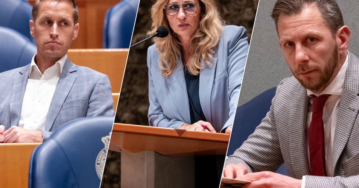 Waarom deze drie West-Brabantse Kamerleden zo verschillend presteren in ...