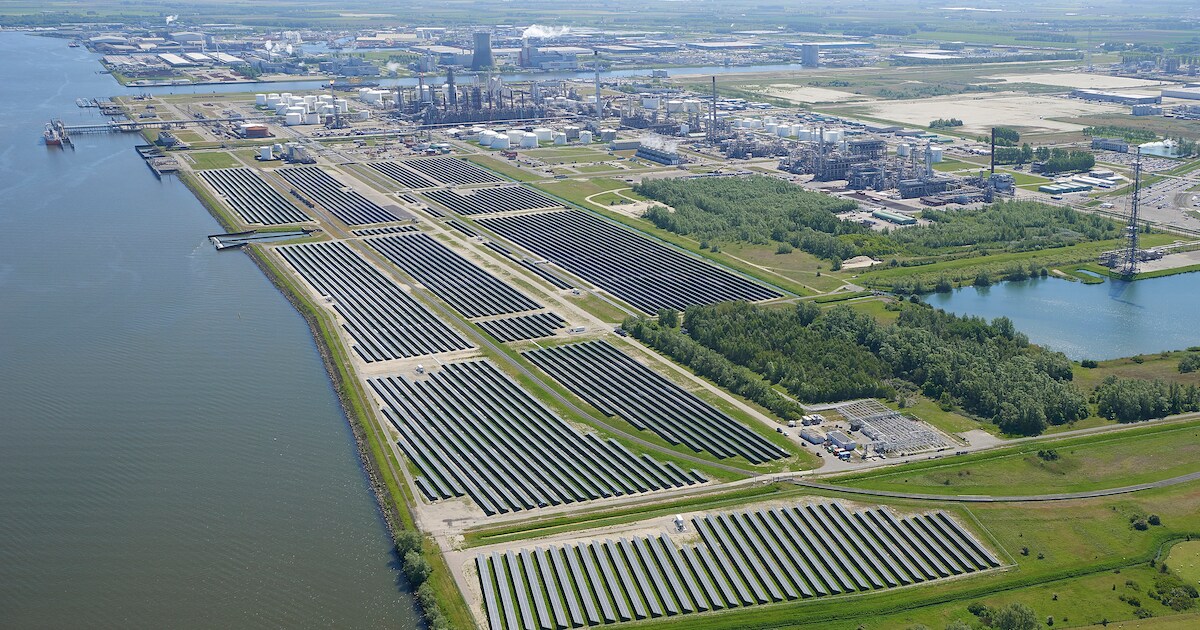 Wie is de grootste? Wie zit er het langst? De top 5 van haven- en ...