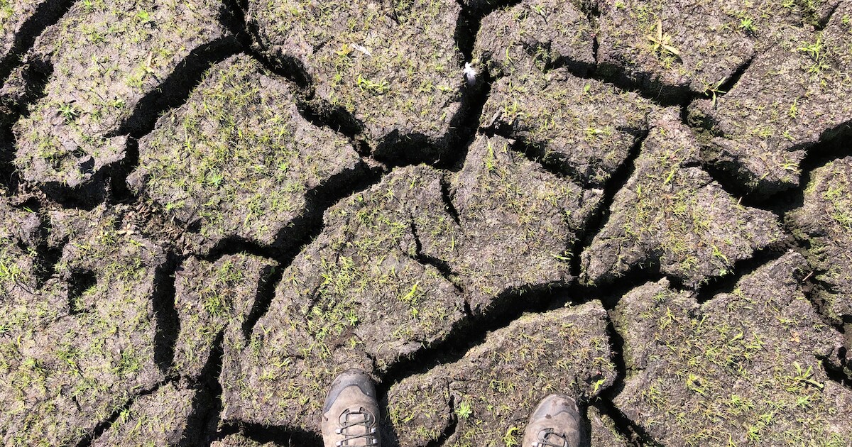 Land moet van vergiet weer spons worden | Home | BN DeStem.nl