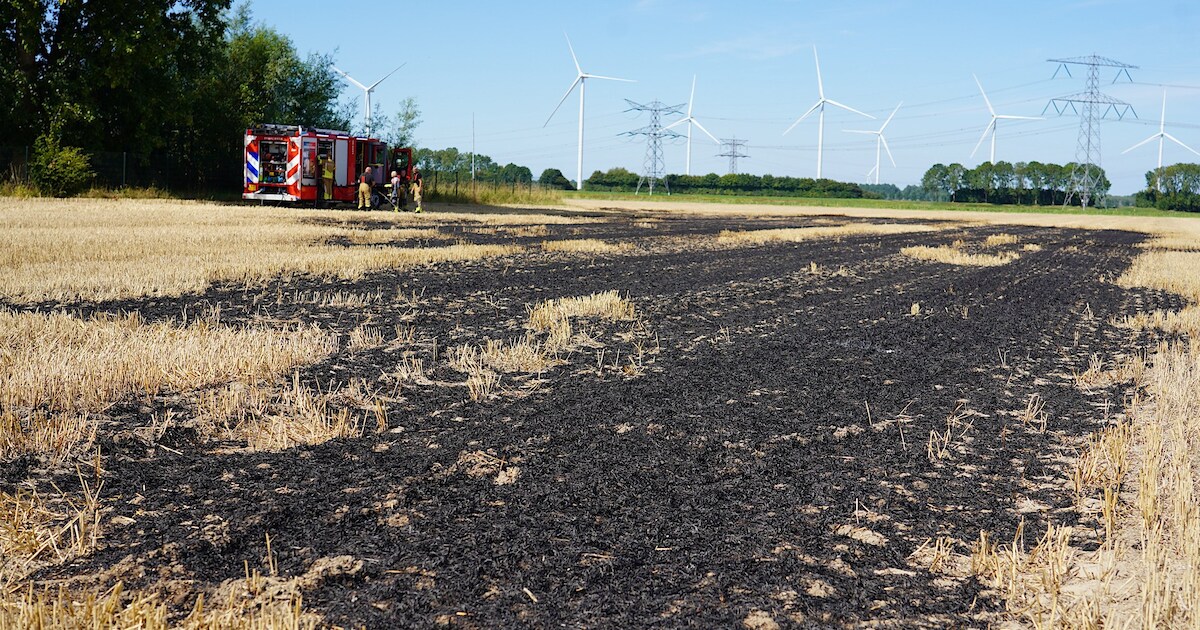 Deel van akker blijft zwartgeblakerd achter na korte brand in Lage ...