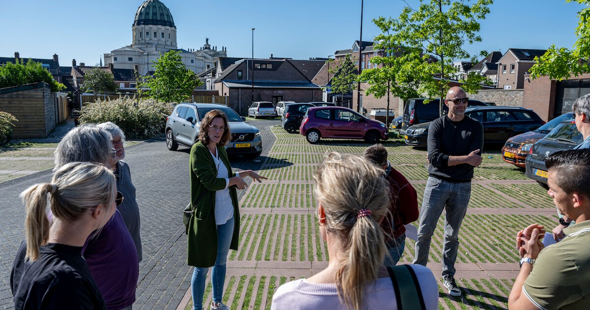 Vergroening Moerdijk gaat toch door, maar over meer jaren uitgesmeerd ...