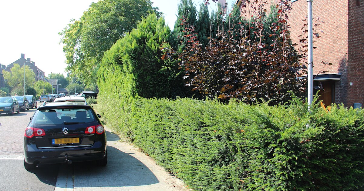 Invoering betaald parkeren Brabantpark hapert: ‘Honderd mensen naar ...