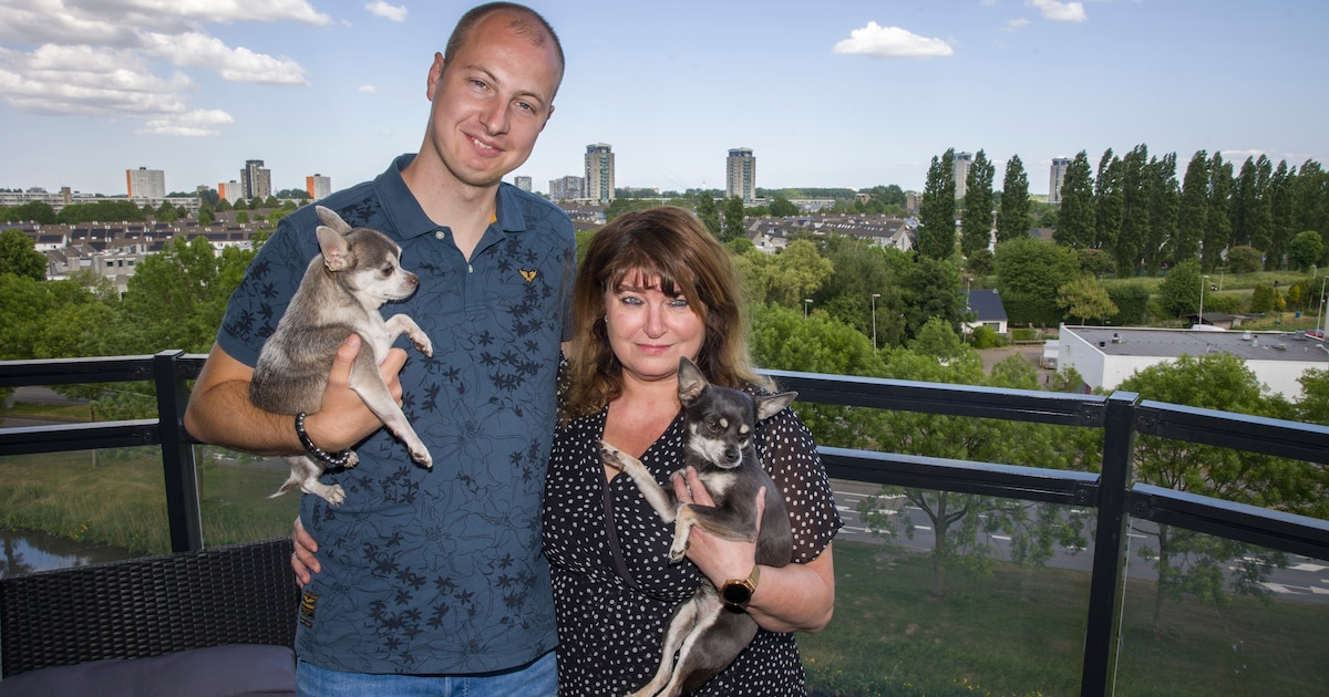 Alida staat met pech tussen voorbij razende vrachtwagens op de snelweg ...