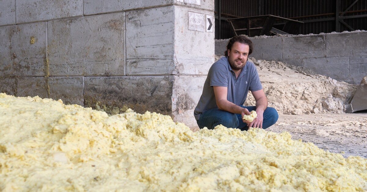 Bedrijf Rodenburg werpt kritiek van zich af: ‘Het idee van zware ...