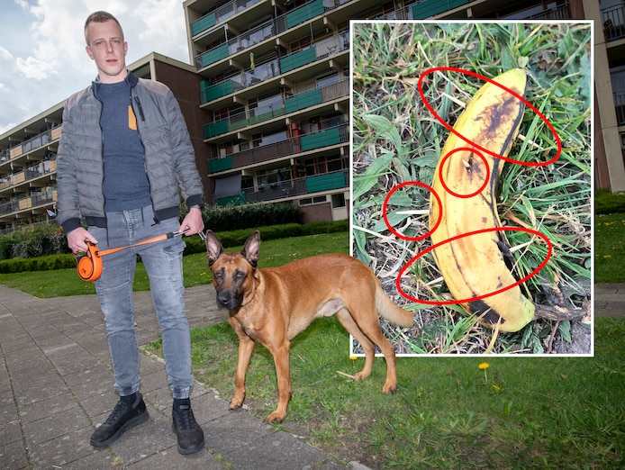 Stekelbananen in het gras en waarschuwing politie: Michiel houdt hier ...