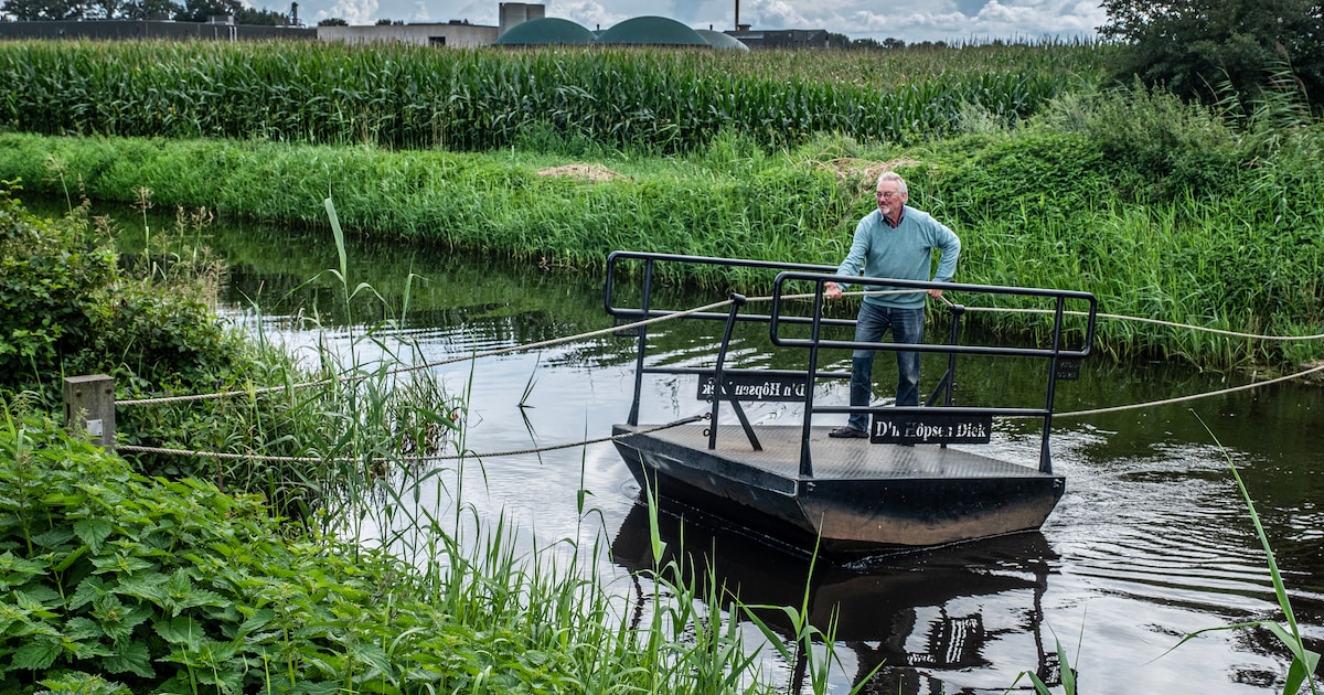 Strijd der milieugiganten: wordt het lokale favoriet Geert, Alfred of ...