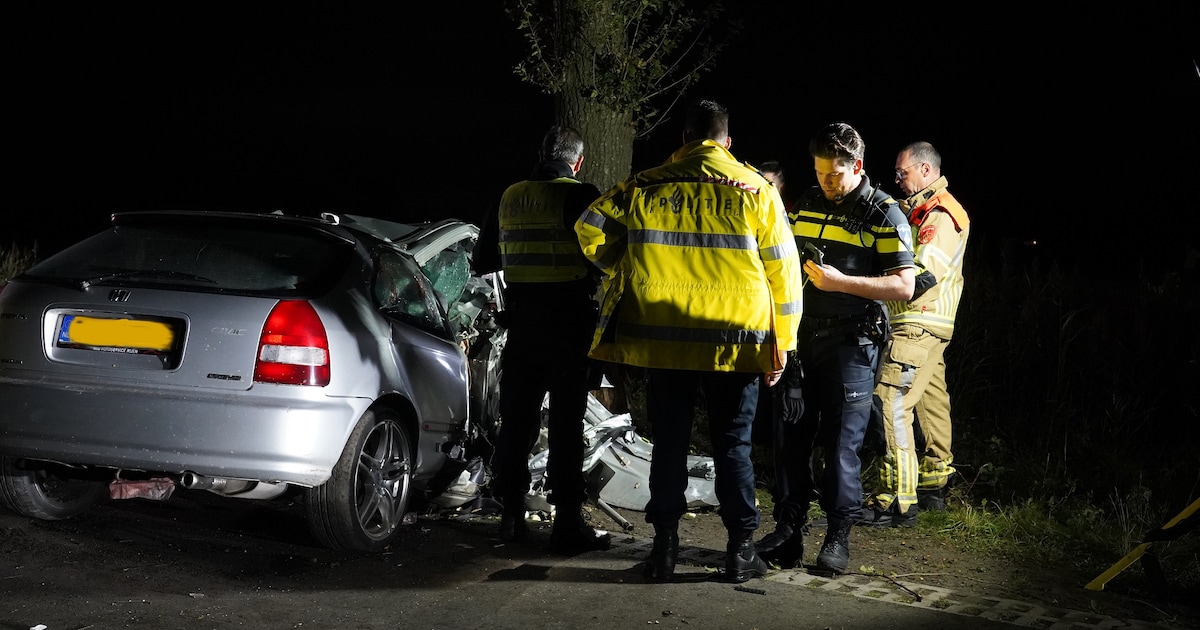 Auto botst tegen boom in Dorst: drie gewonden naar ziekenhuis | Oosterhout | bndestem.nl