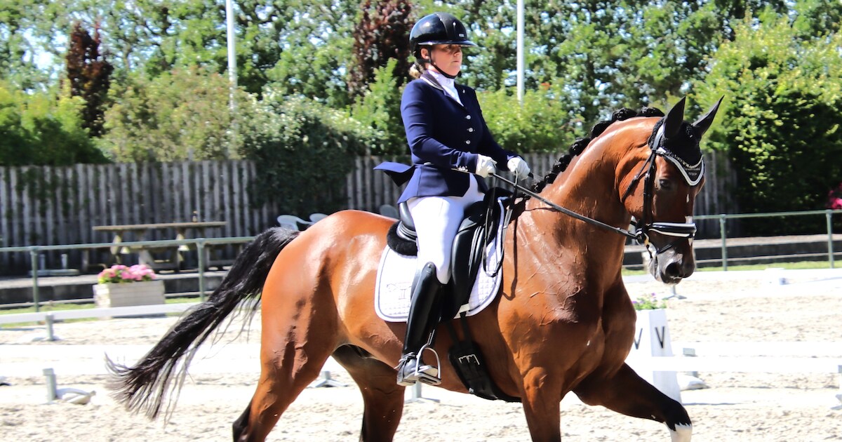 ‘Hurricane is een paard met een verhaal’ | Zeeland | bndestem.nl