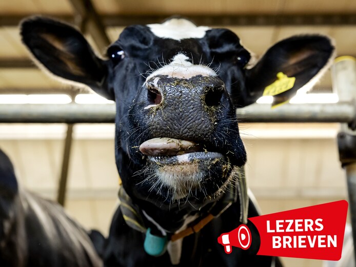 De welwillende medewerking van de boer: daar ligt een zwakke plek | Tilburg | bndestem.nl