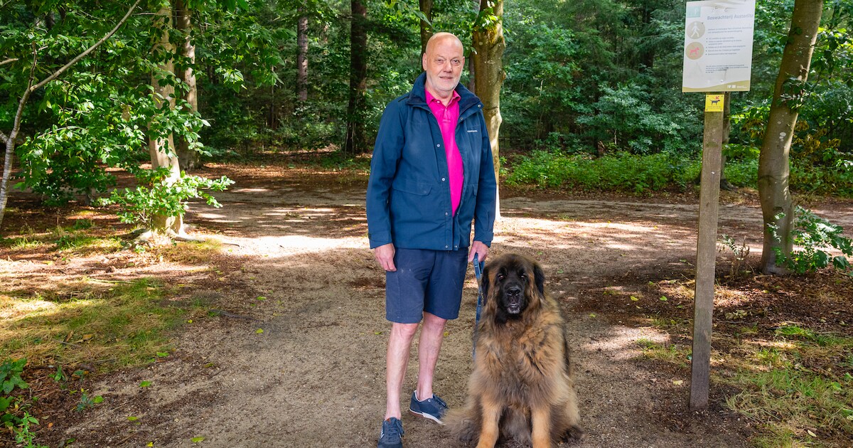 Cees houdt zijn hond niet aan de lijn in gebied bij wolf, hij ...