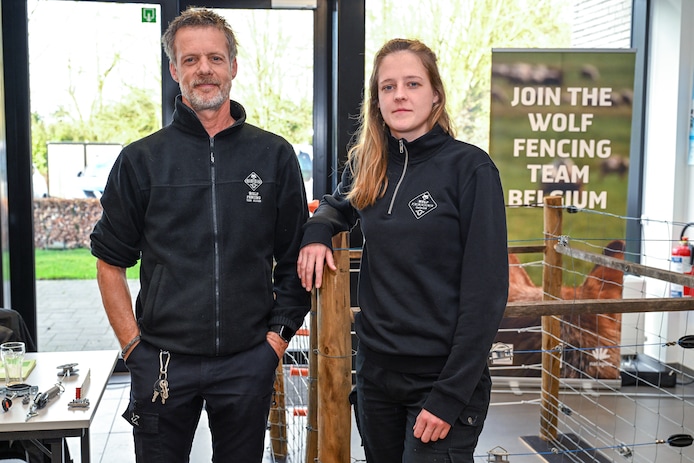 Vlak over de grens woont wolf Emma, dit kunnen wij leren van de Belgen ...