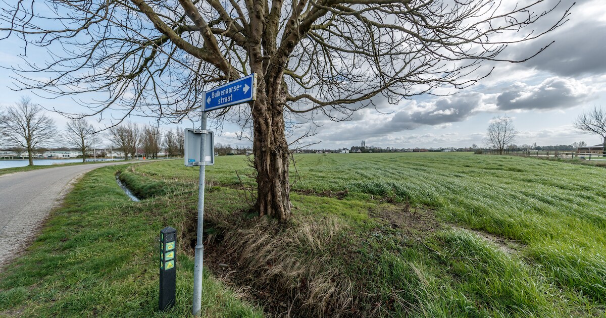 Pas in 2024 uitspraak Raad van State over nieuwbouwplek voor Bravis ...
