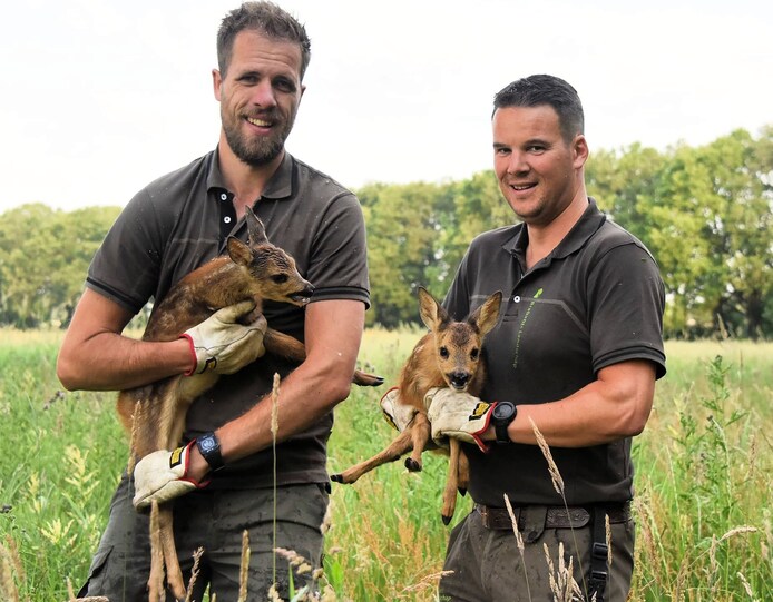 Boswachter Erik redt reekalfjes en kuikens van maaimachines in ...