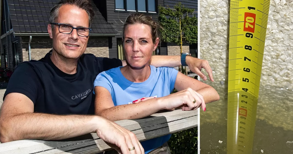 Roné en Afke bouwen hun droomhuis op een maisveld, dan begint het ...