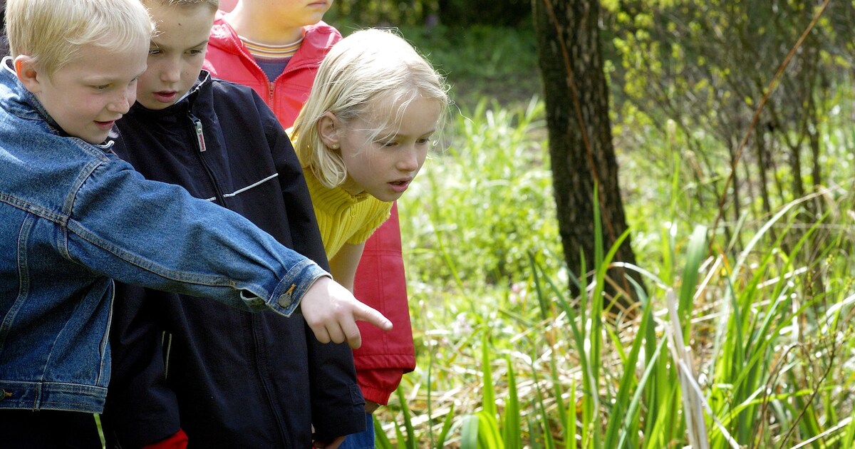 Scholenproject Heemtuin Rucphen maakt zich op voor 7500ste deelnemer ...