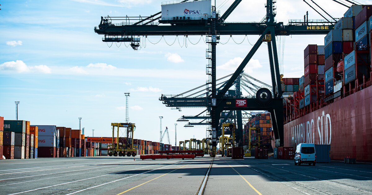 Speciaal havenkorps gaat keihard de strijd aan met maffia in de ...
