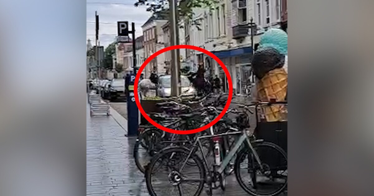 Man (50) mag na inrijden op twee politiepaarden thuis rechtszaak ...