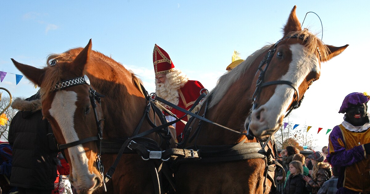 Alles wat je moet weten over de intocht van Sinterklaas in de gemeente ...