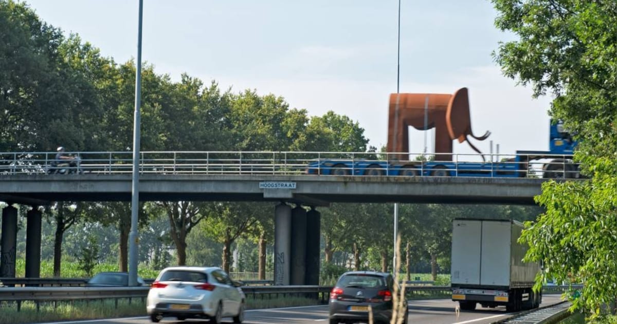 Attentie: olifant kruist de snelweg | Oosterhout | BN DeStem.nl