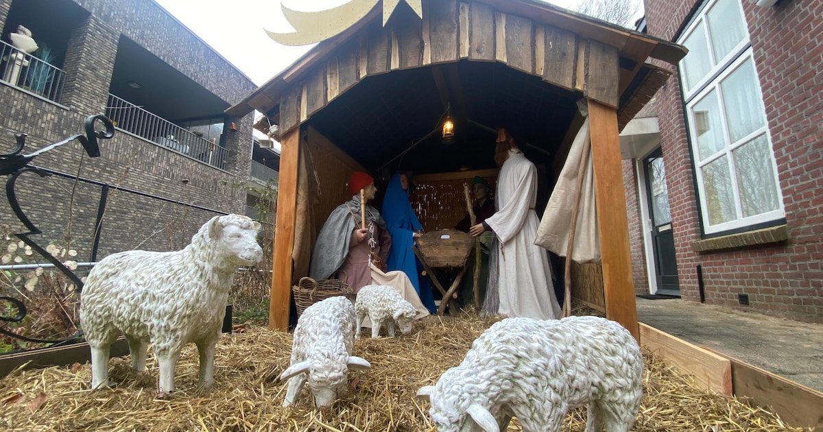 Gilze en Rijen actueel: kerststal terug bij heemkring, 8.690 meldingen ...