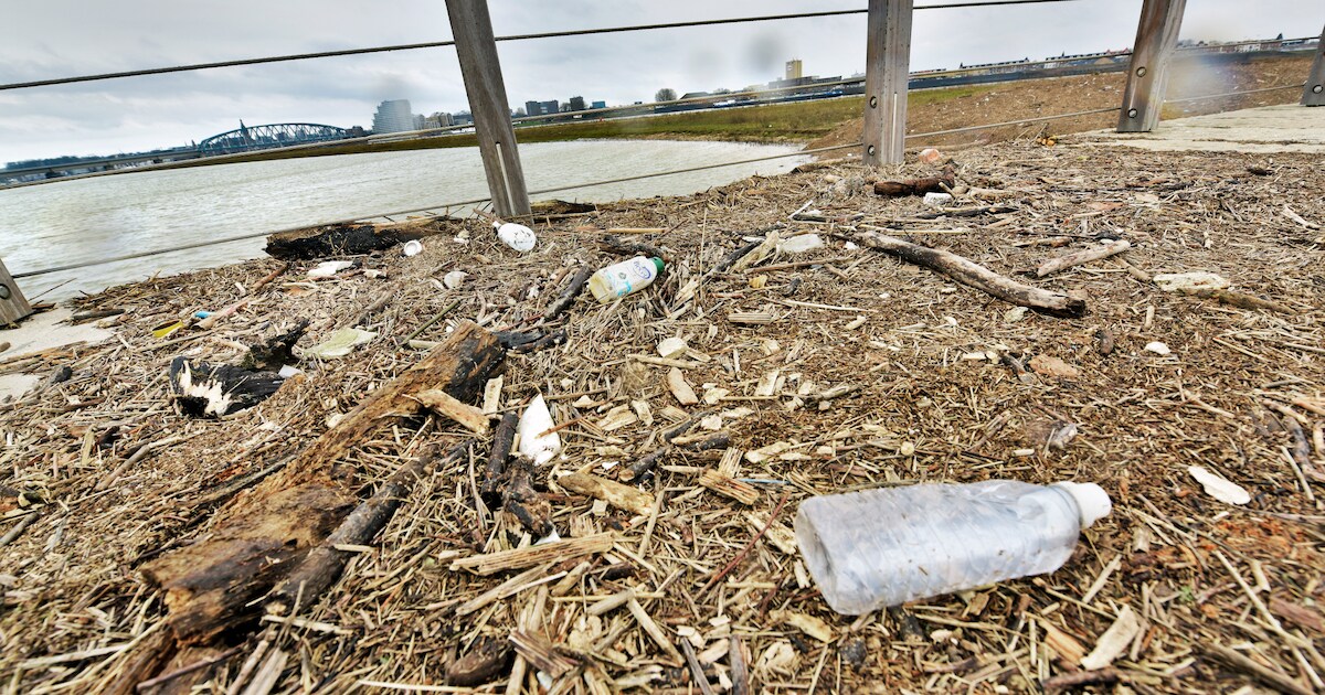 Hoogwater laat hele berg rotzooi achter in de Biesbosch | Regio | BN ...