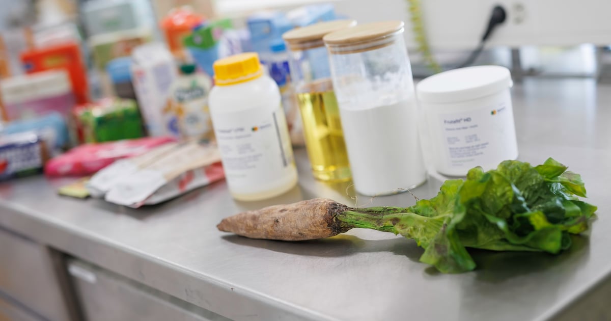 Het groene goud van Cosun: van planten maken ze er roomijs, shampoo en ...
