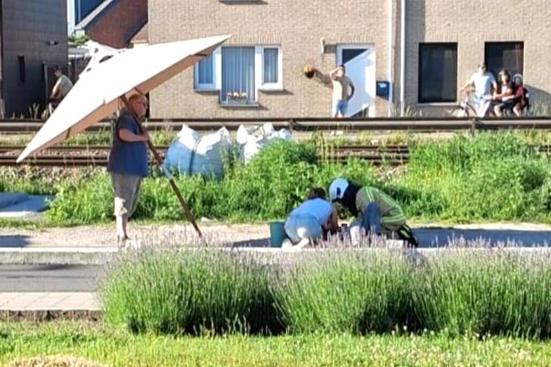 Volop lof voor man met parasol bij busdrama België: ‘Je doet wat nodig ...