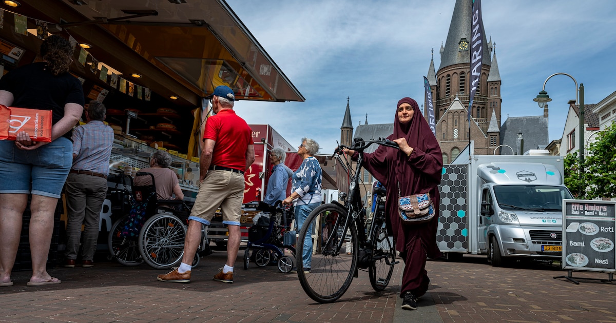 Verontwaardiging over nieuwkomers-enquête: ‘Koppigheid typisch ...