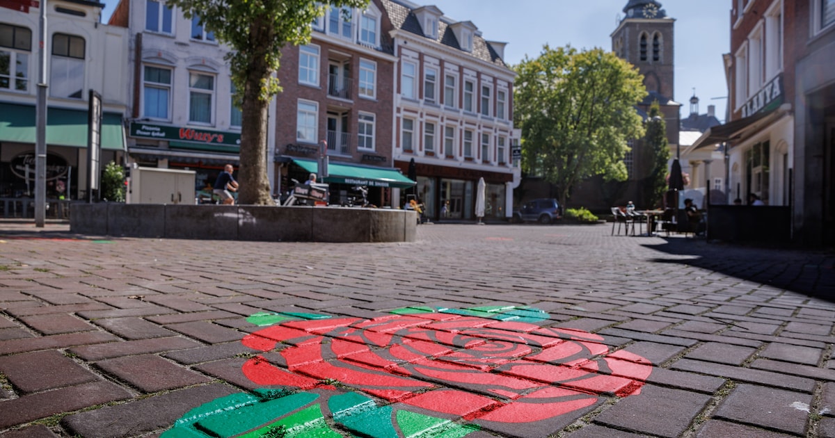 De roosjes van Roosendaal | Roosendaal | BN DeStem.nl