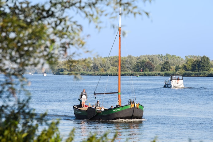 Na een eeuw vaart deze rietaak weer door de kreken van de Biesbosch ...