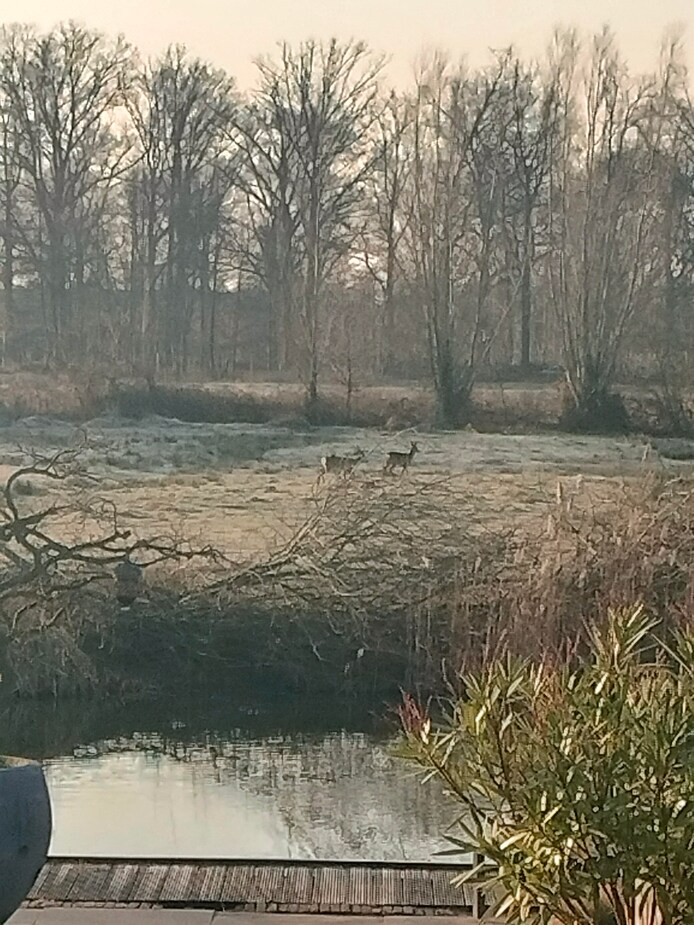 Goed nieuws in beelden gevangen | Van de lezer | bndestem.nl