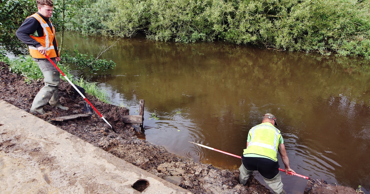 Primeur: in het Markdal wordt gebouwd mét de natuur, maar dan moet de ...