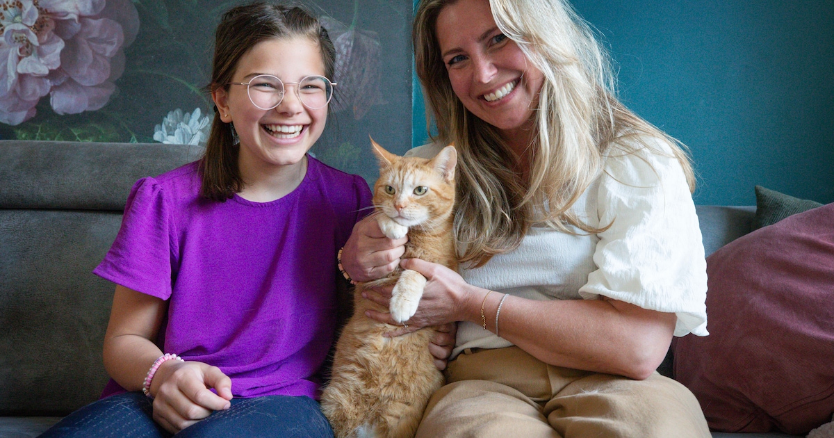 Vermiste kat Charly uit Breda duikt op bij Schiphol: ‘Denk dat-ie toe ...