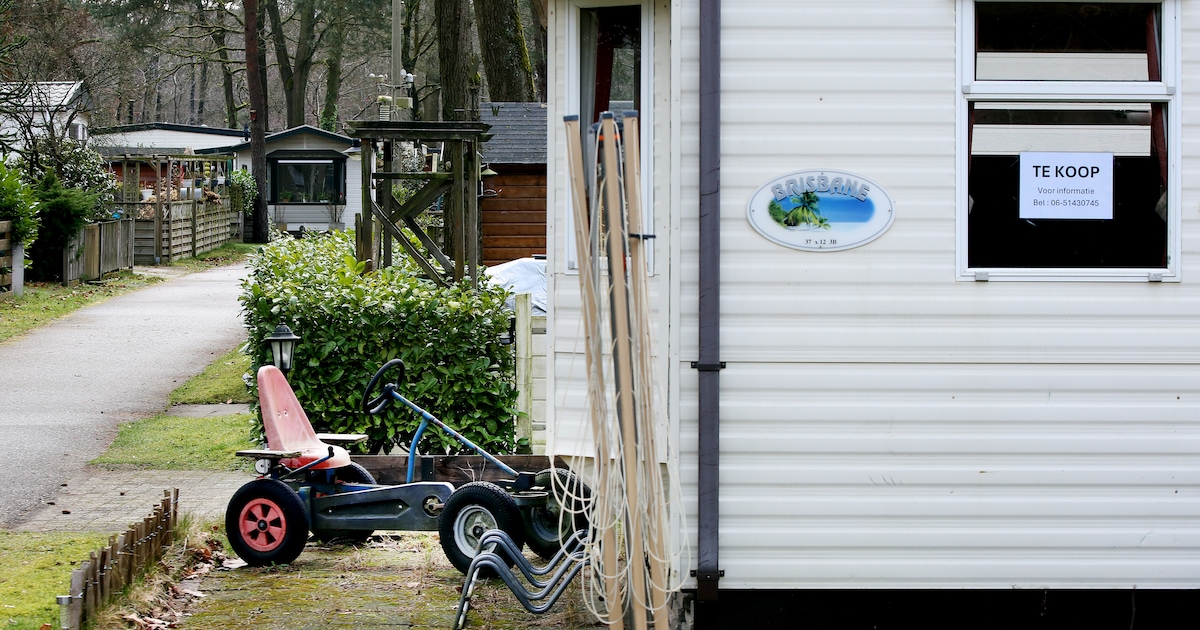 Rotterdammers knokken voor hun geliefde camping in Rijen: ‘Hebben we ...