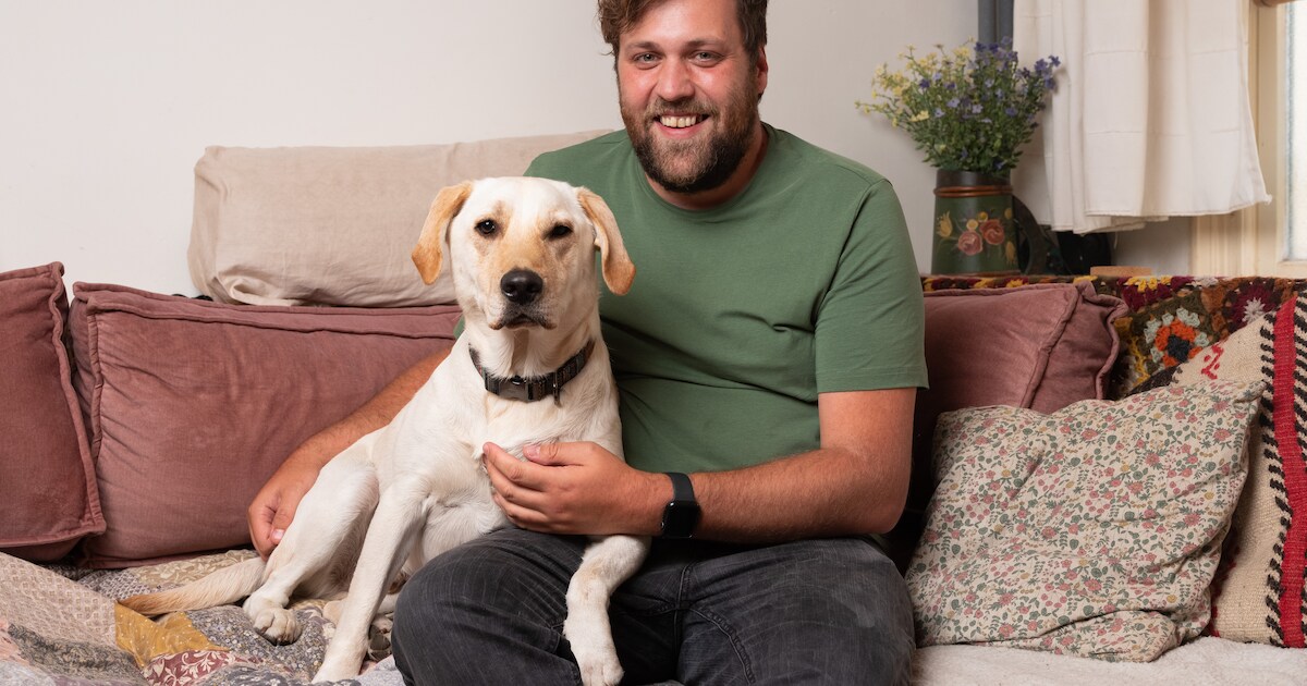 Vegetarische honden en katten aan glutenvrij dieet: ‘Hoe ver ga je? Een ...