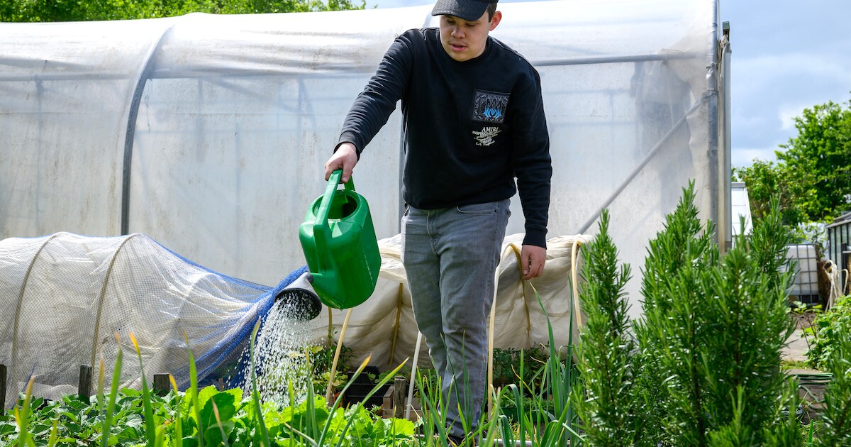 Verpiete­ren­de plantjes in kurkdroog voorjaar? Kyllan (18) heeft de ...