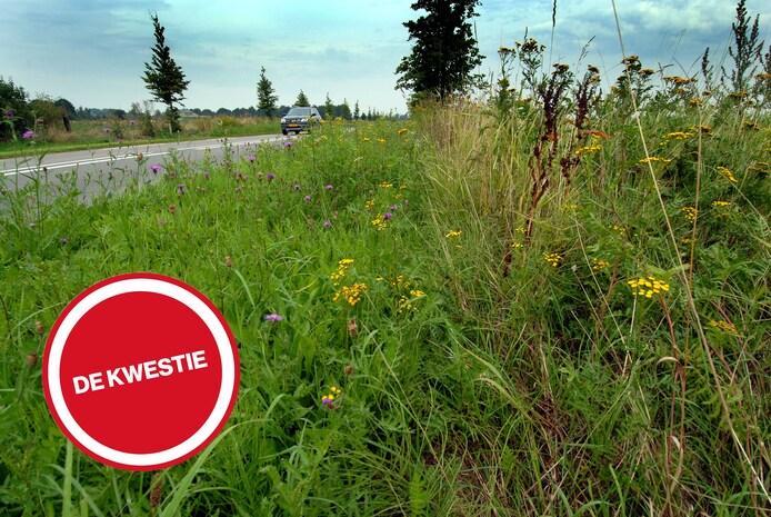 Ecologisch maaien: goed voor de natuur misschien, maar is het wel ...