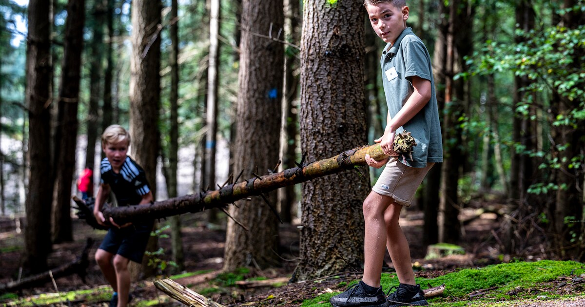 Bewegen, gezond eten en ‘veel plezier hebben’ op Bergse Kindersportweek ...