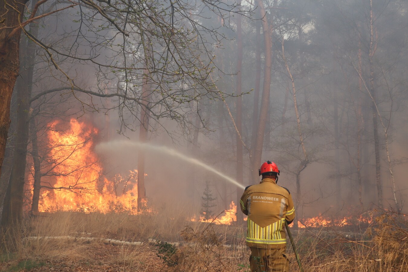 Net wanneer bosbrand in Loonse en Drunense Duinen uitbreekt is de ...