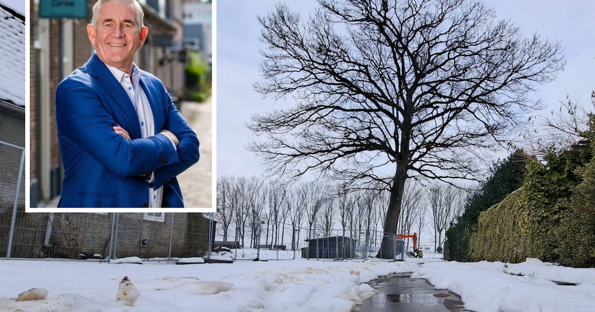 Waalwijk buigt niet en weigert kapvergunning voor omstreden Baardwijkse ...