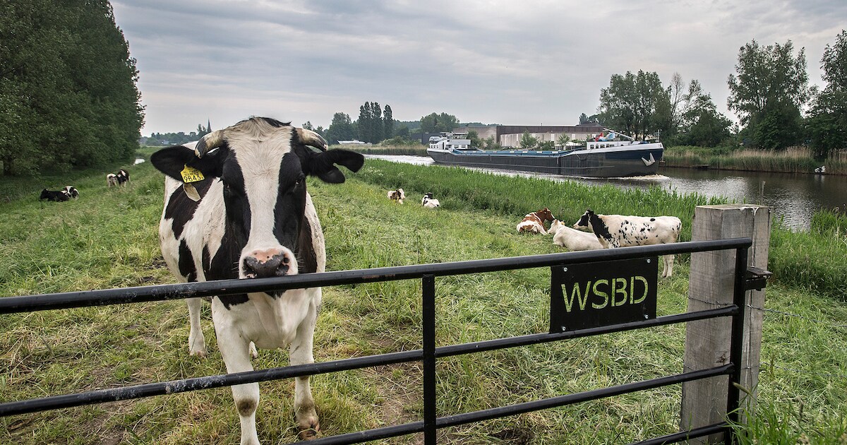 22 kilometer aan West-Brabantse dijken beschermen niet voldoende tegen ...