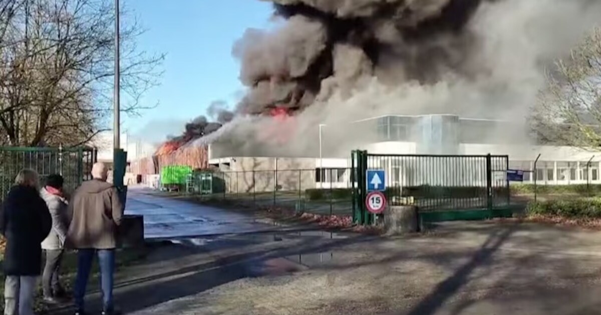 Grote brand bij bedrijf in Hamont: zwarte rook waait over naar Budel ...