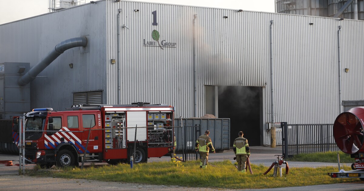 Brand in houtpalletsbedrijf in Moerdijk | Moerdijk | bndestem.nl