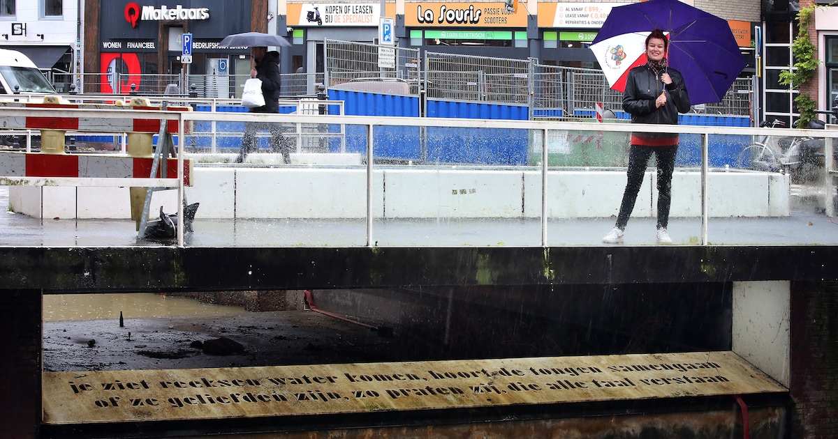 Acht meter lang gedicht van Yvon Né verdwijnt van de Tolbrug: ‘Die plaat, het is wel een ding ...
