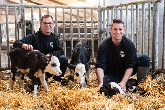 Kenn kijkt nóg een keer bij koe Wilhelmina en haar pasgeboren tweeling ...