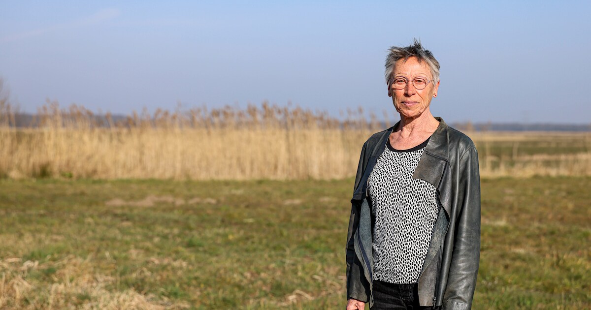 Lage Vuchtpolder kreeg het zwaar te verduren, maar gaat nu de goede ...