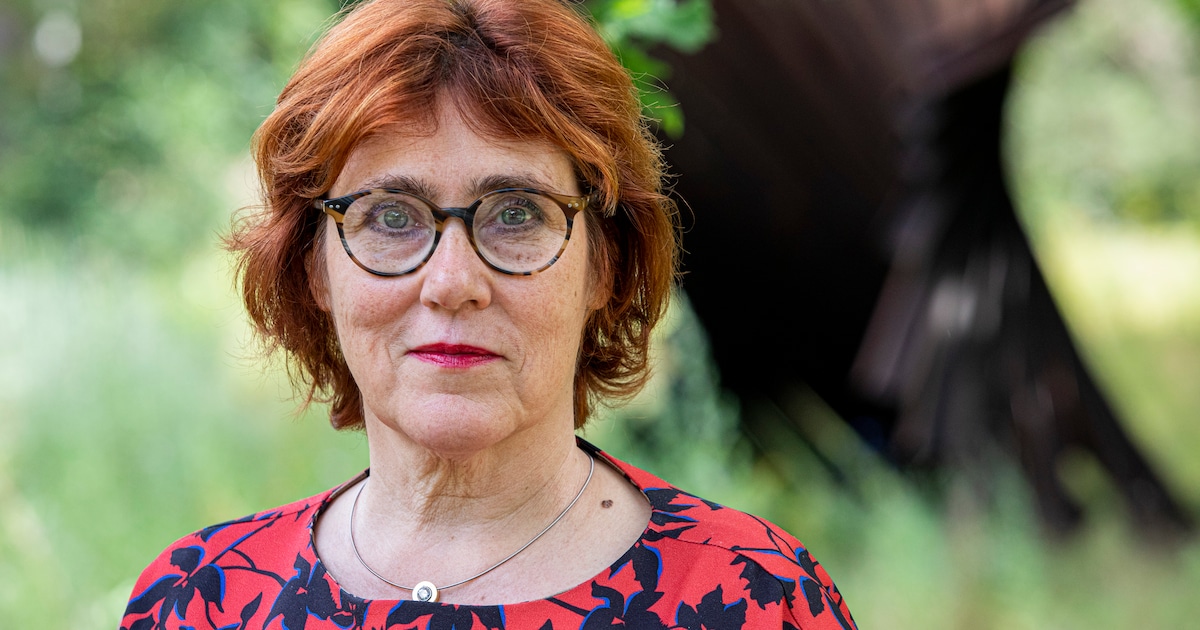 Laatste verlenging ziekteverlof wethouder Peet van de Loo | Brabant ...