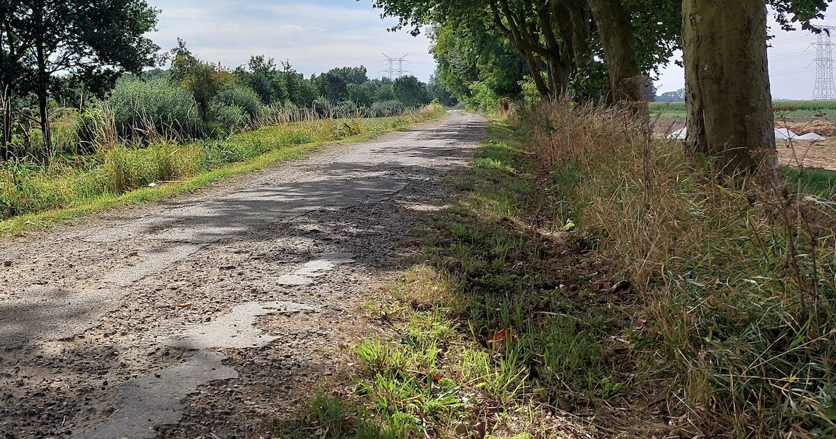 Slecht fietspad langs de Donge wordt opgeknapt en verbreed: ‘Het krijgt ...