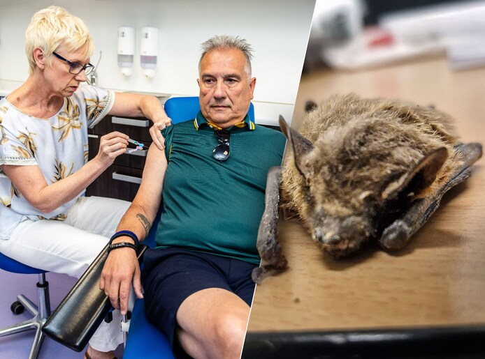 Henri (66) werd gebeten door vleermuis met rabiës: ‘Zag meteen dat het ...